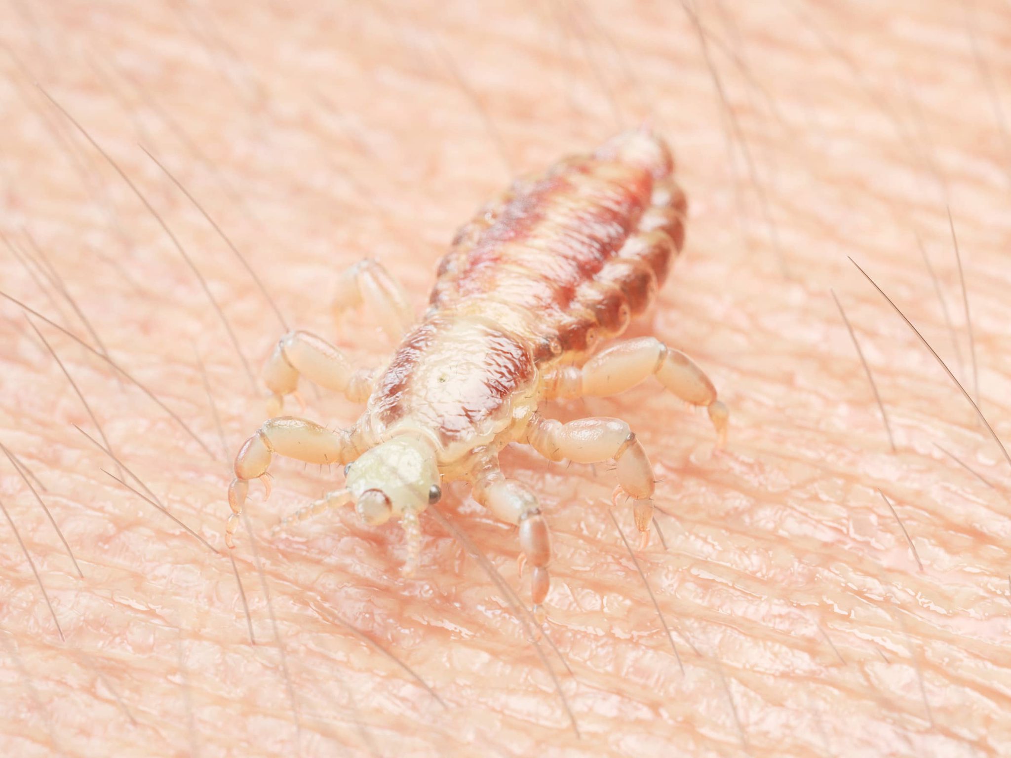 Infilea opinie i ulotka - dawkowanie, skutki uboczne | o-lekach.pl