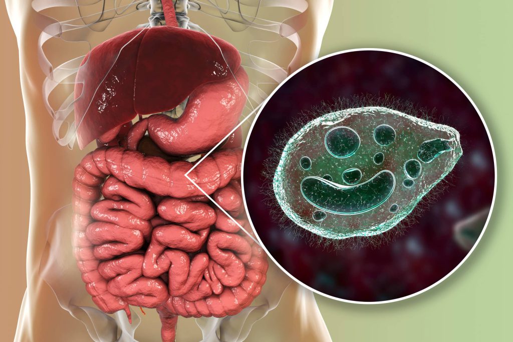 Proursan - dawkowanie, jak stosować?