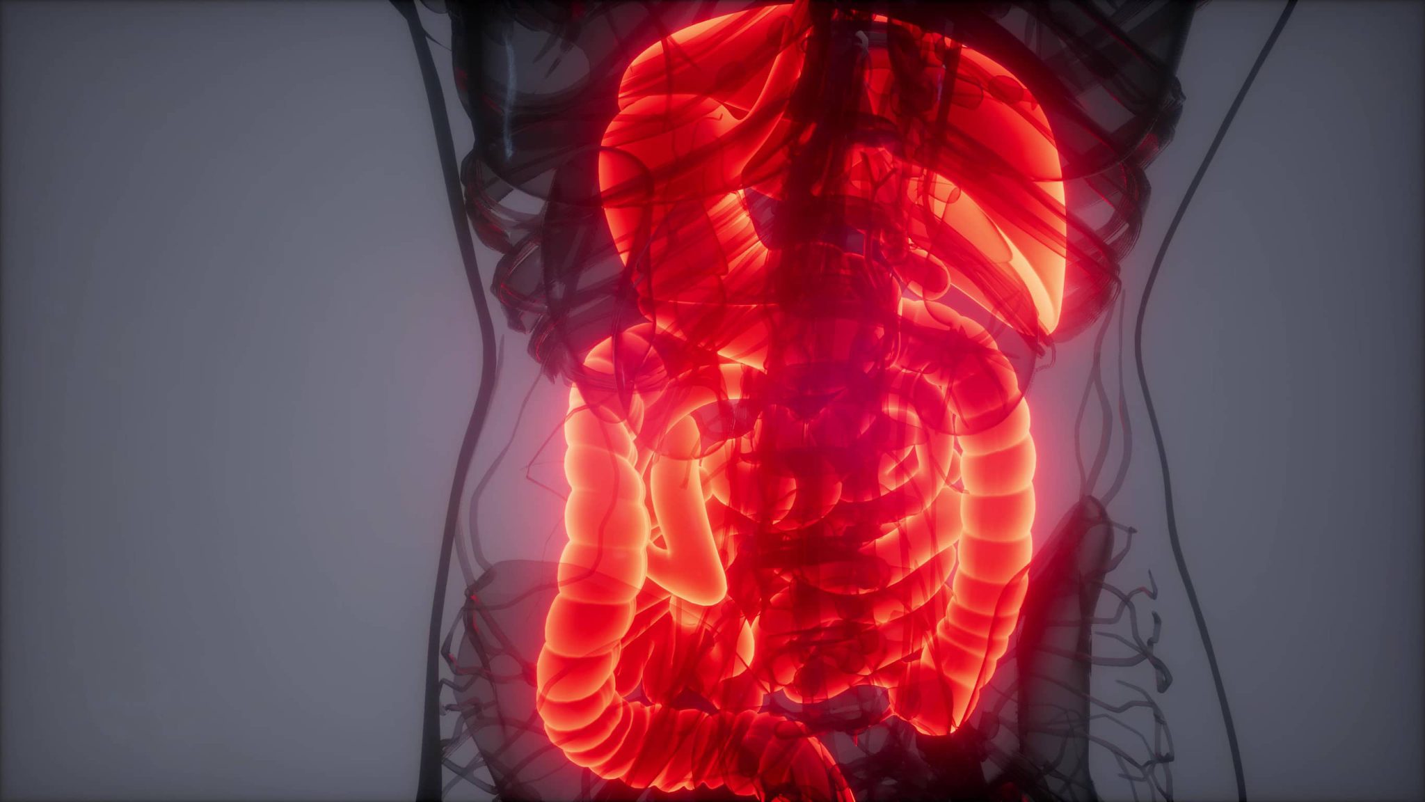 Ircolon Forte - opinie, wskazania, działanie, dawkowanie