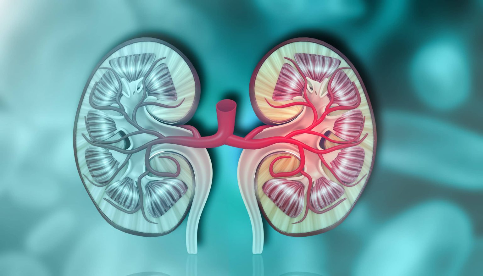 Penester - ulotka, wskazania, zamienniki