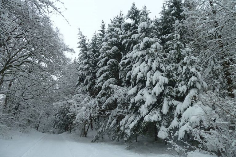 Infilea - opinie i forum pacjentów | o-lekach.pl